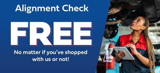 Thanksgiving Sale Special Offer